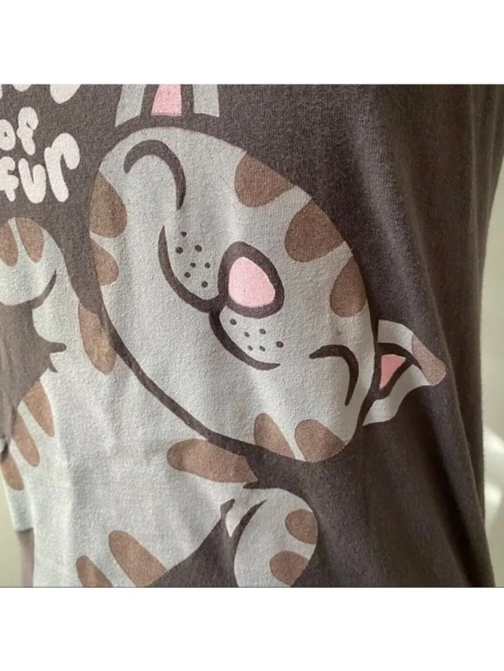 Ripple Junction | Shirts & Tops | Big Bang Theory Soft Kitty Shirt ...